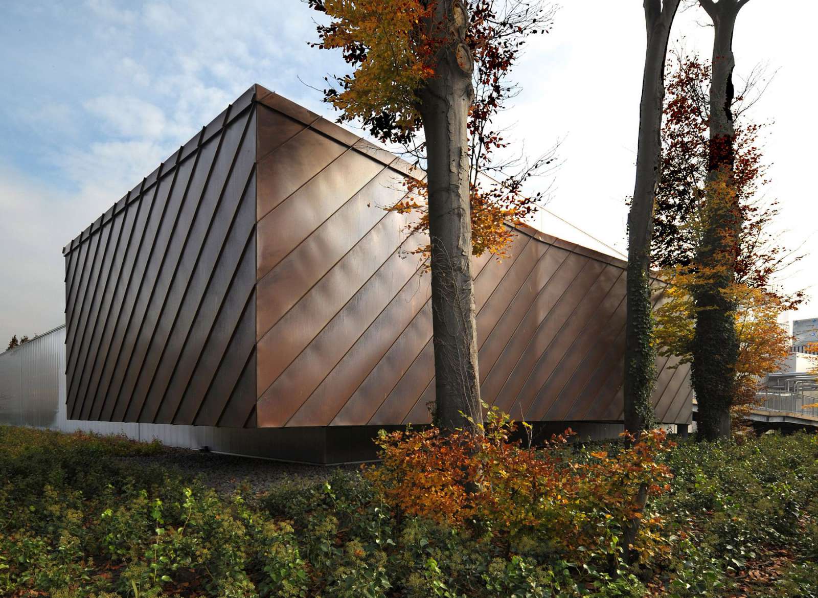 AWAA for cwarchitects